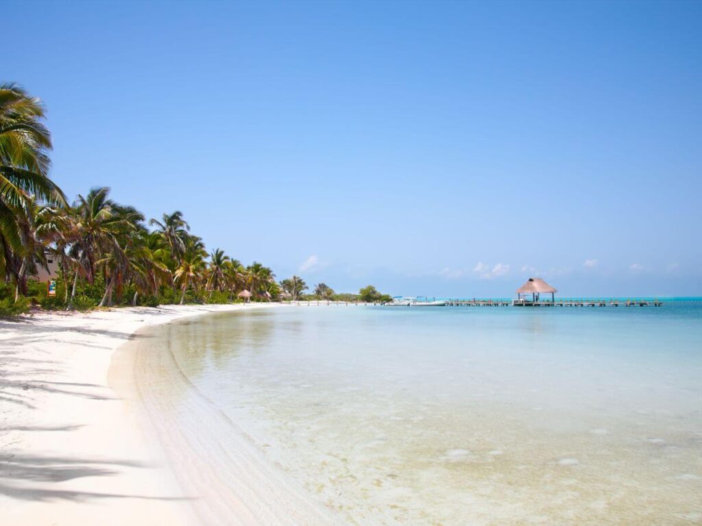 Visiting Isla Contoy from Isla Mujeres - The Best Tours 2024