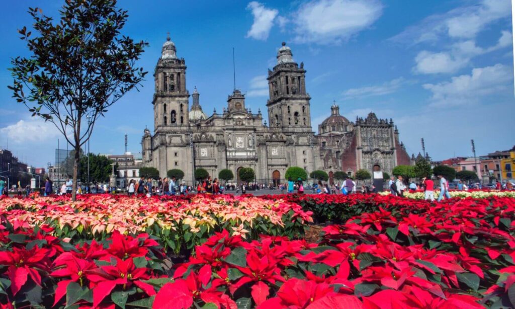 Feliz Navidad! Fun Christmas Traditions in Mexico