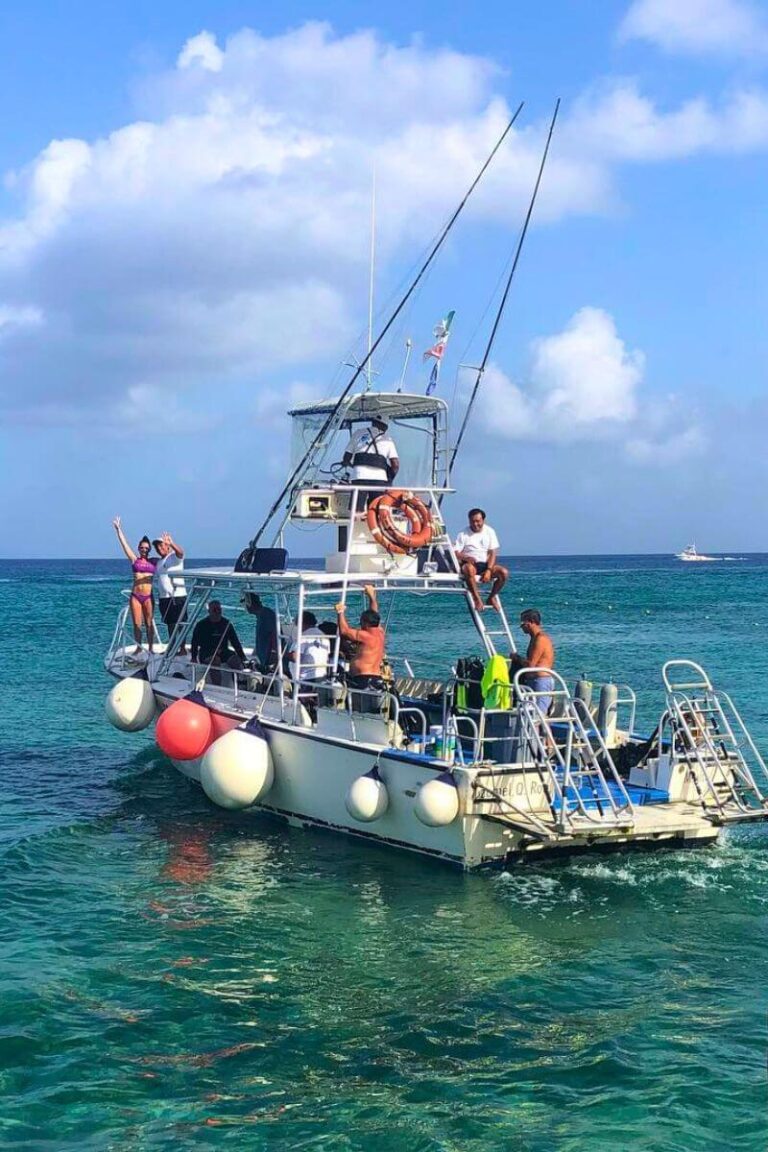 The 18 Best Dive Resorts in Cozumel Mexico (2025)
