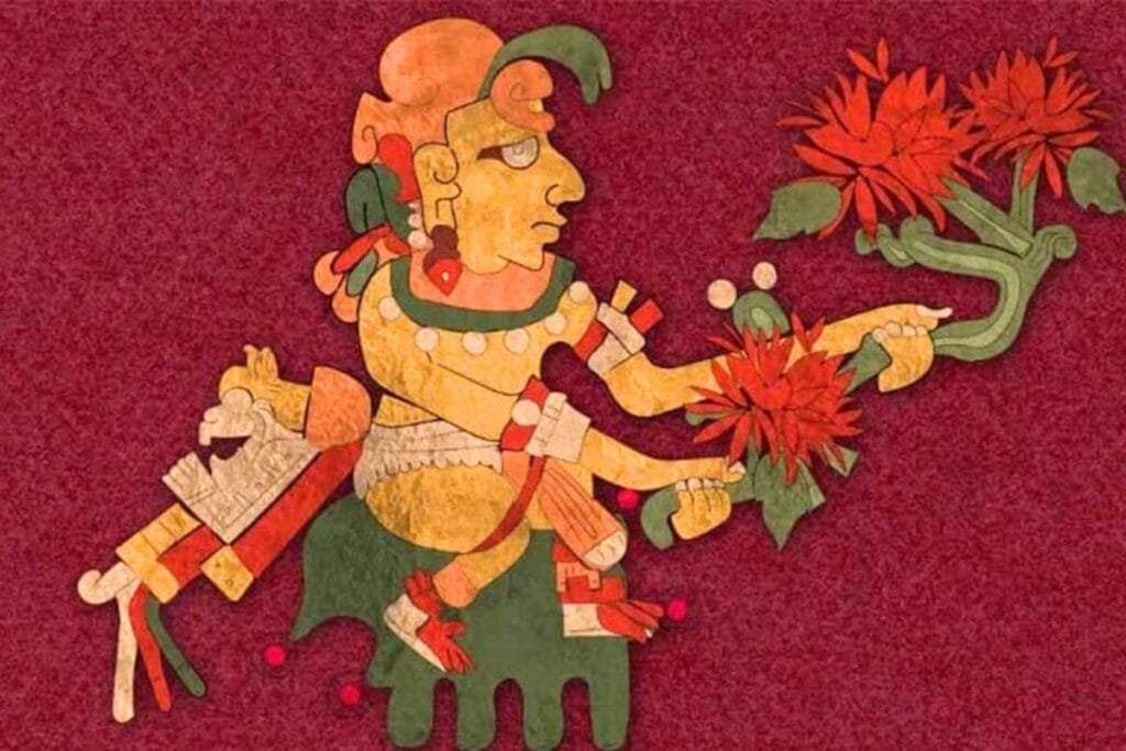 The Strange History of the Poinsettia