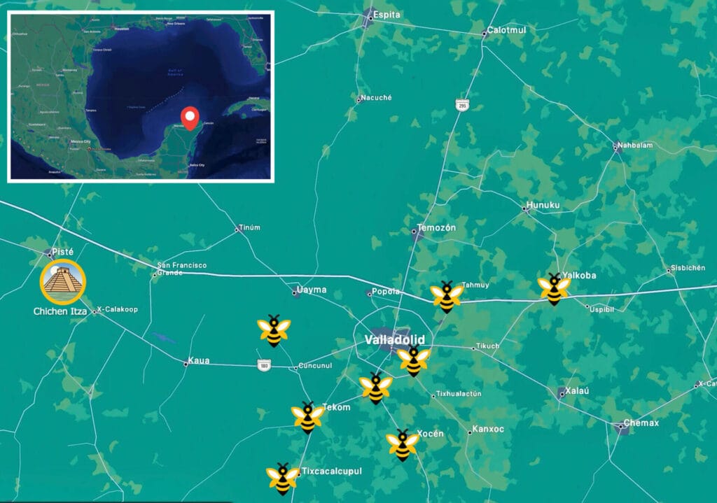 Melipona Honey and the Sacred Maya Bees of the Yucatán